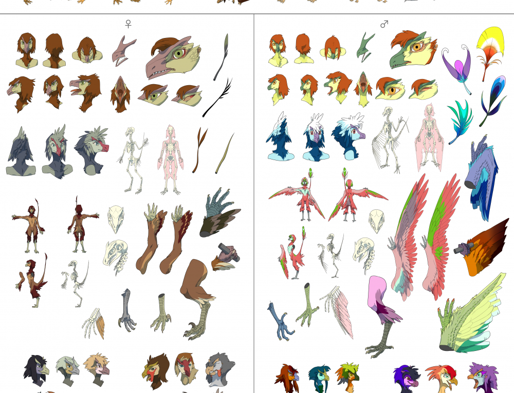 Sergal Reference – ビロウス公式サイト – Vilous Official Website