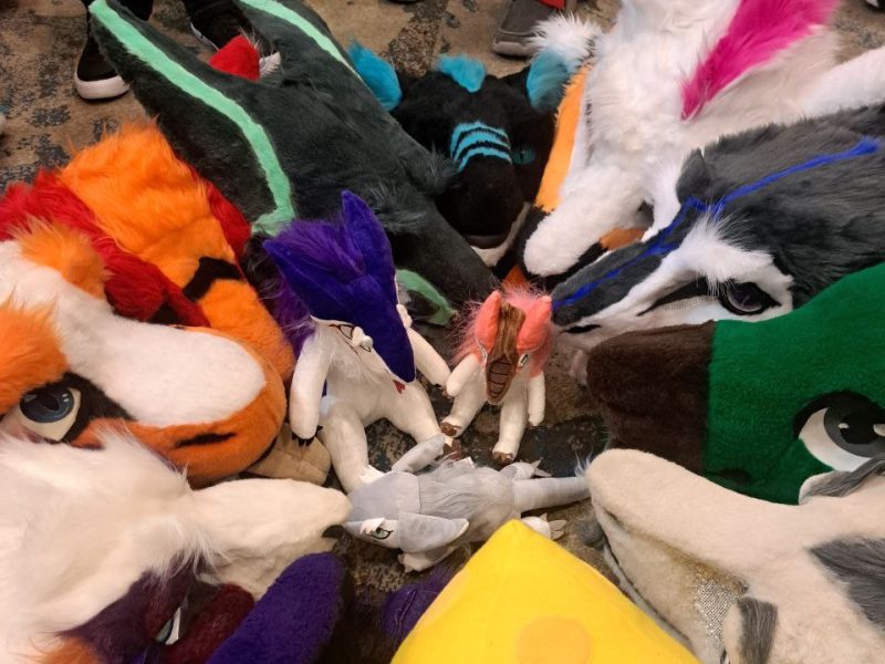 ビロウス公式サイト – Vilous Official Website