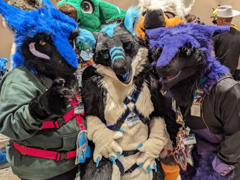 ビロウス公式サイト – Vilous Official Website